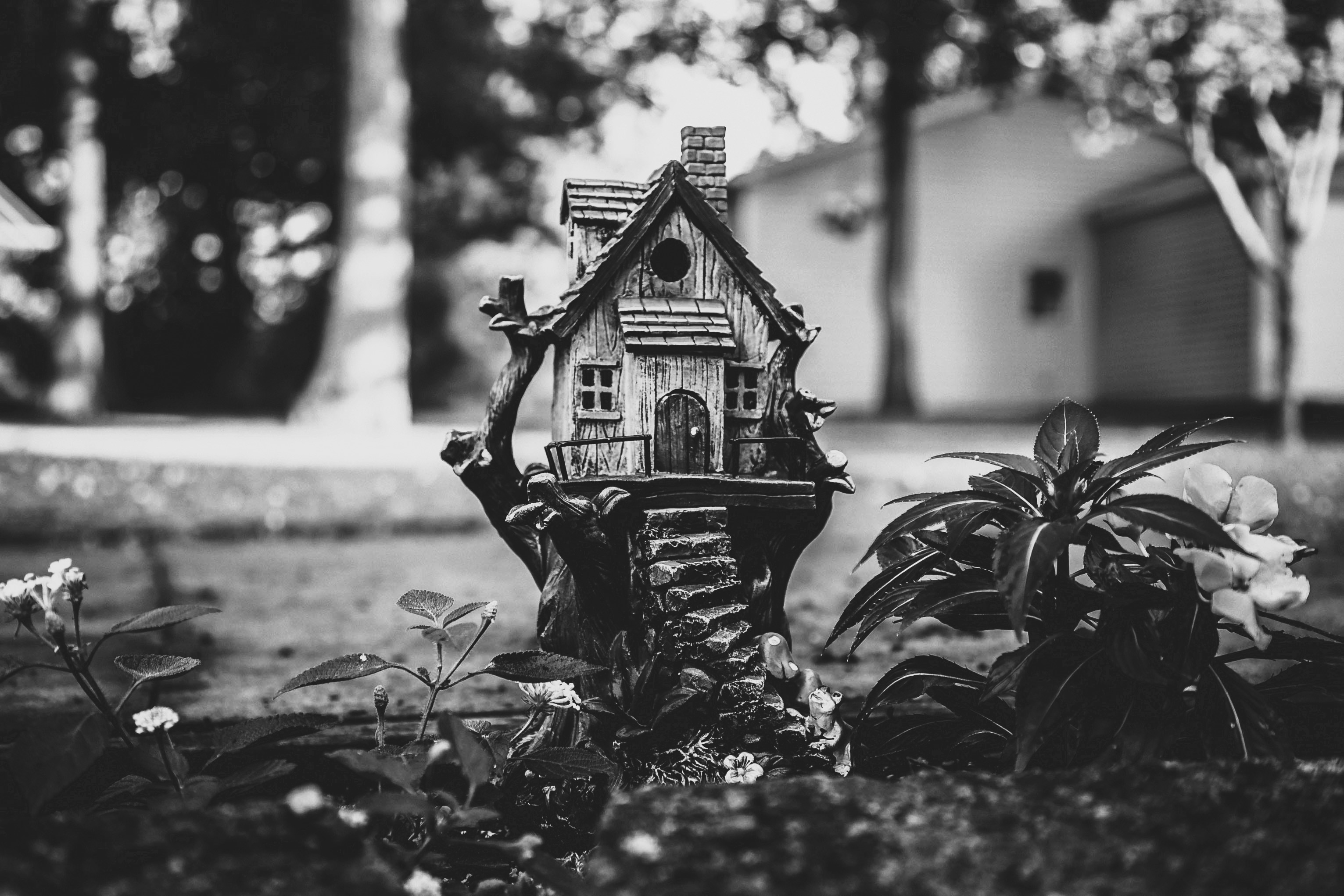 I diritti reali: quali sono e come si dividono – The Legal Nook